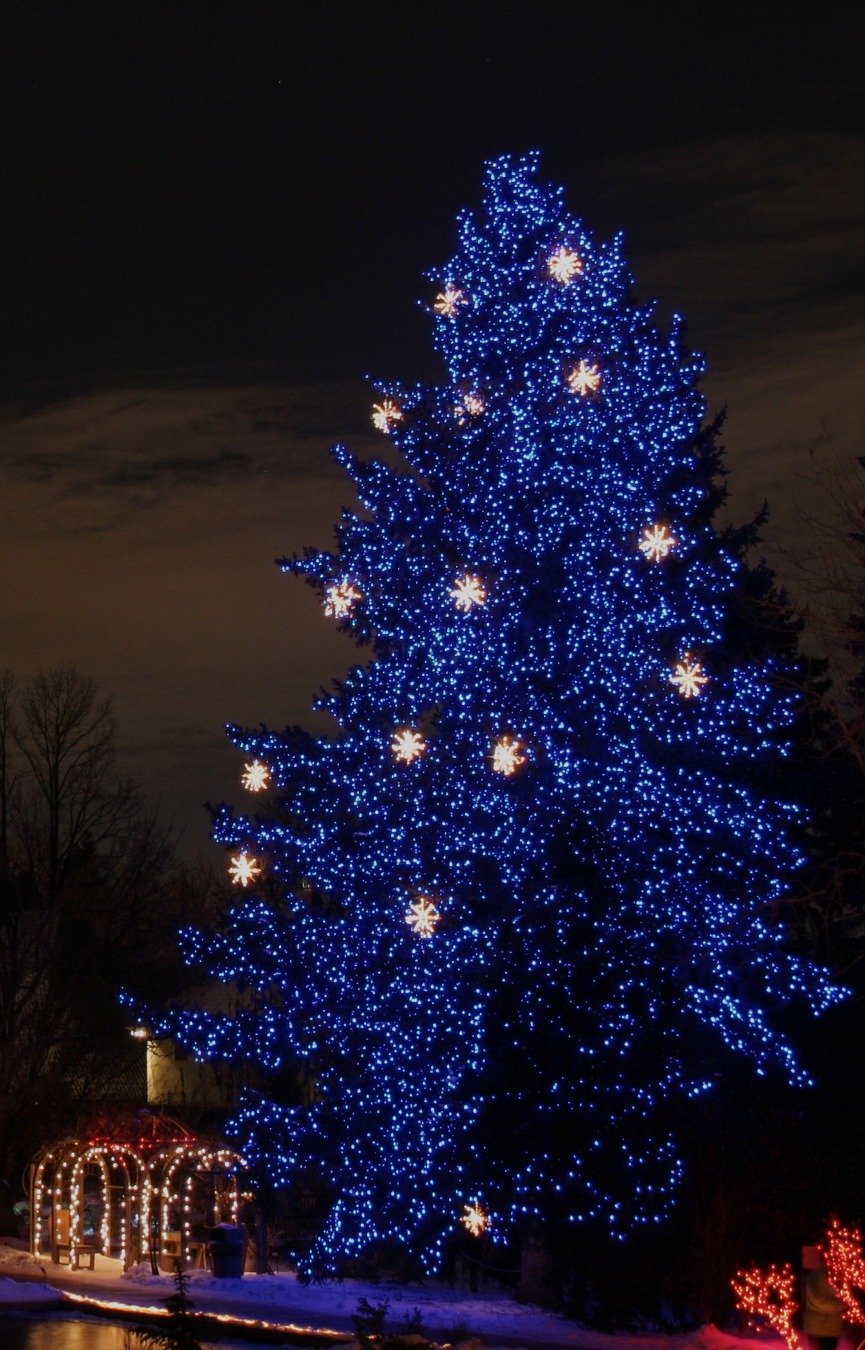 Blue Christmas tree cropped recovery all Dec 2009 – Beth Partin ...