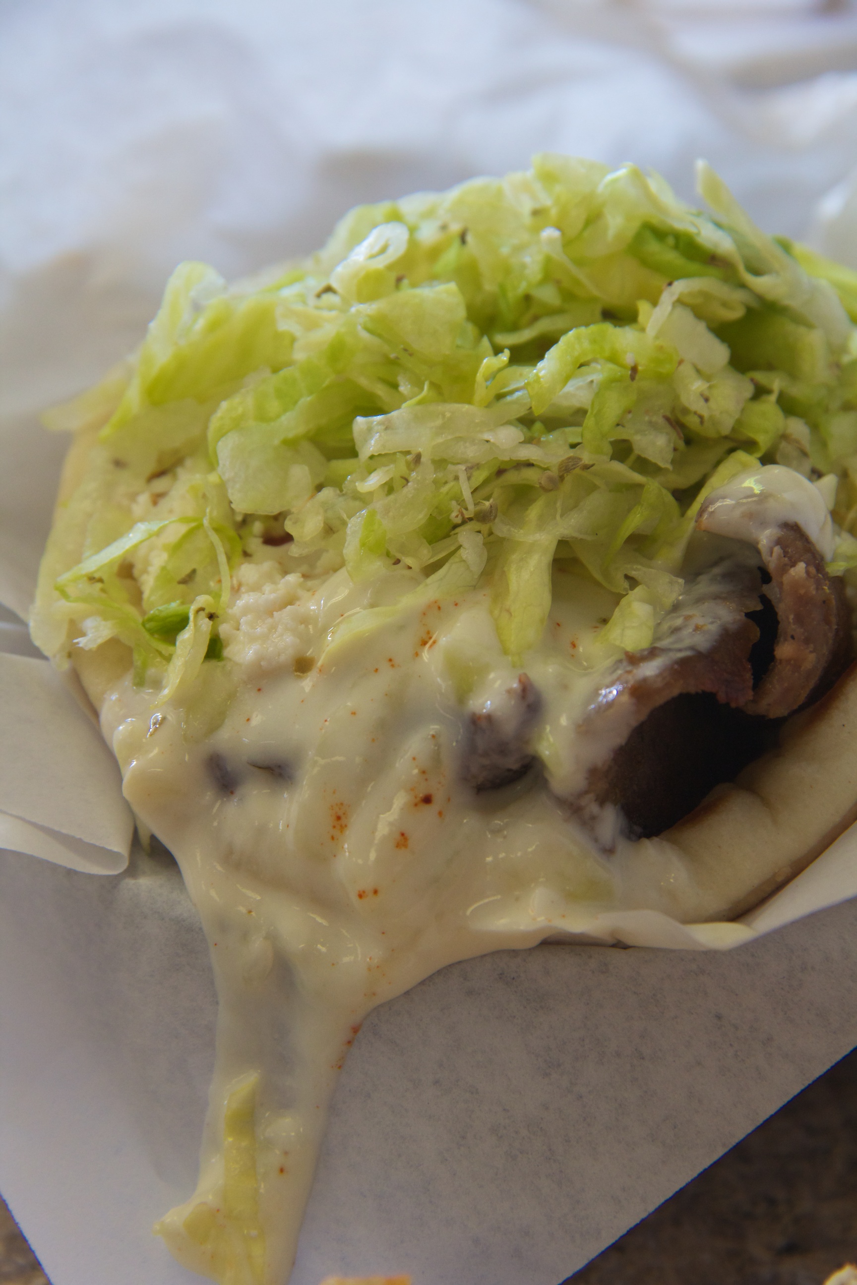 1 Gyros gyro Missoula July 2011 – Beth Partin: Restore and Explore