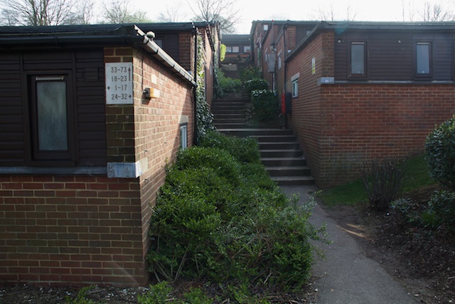East Slope from bottom, University of Sussex, UK, April 2014 – Beth ...