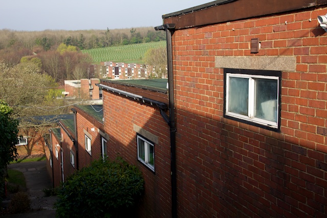 East Slope looking toward Park Village 2, University of Sussex, UK ...