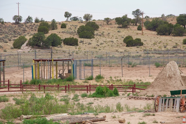 Elk enclosure at Navajo Nation Zoo, with hogan on the right, 2013 ...